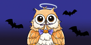 Hello Owl Official - Collection | Element