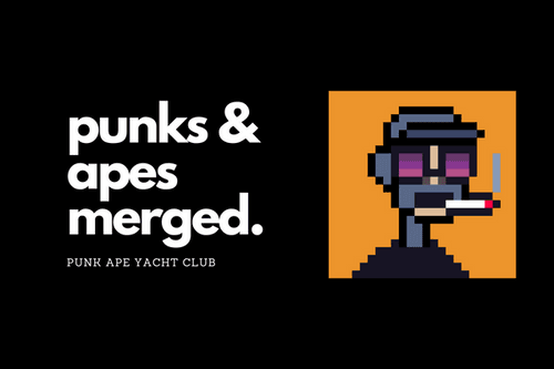 PUNK APES YC - Collection | Element