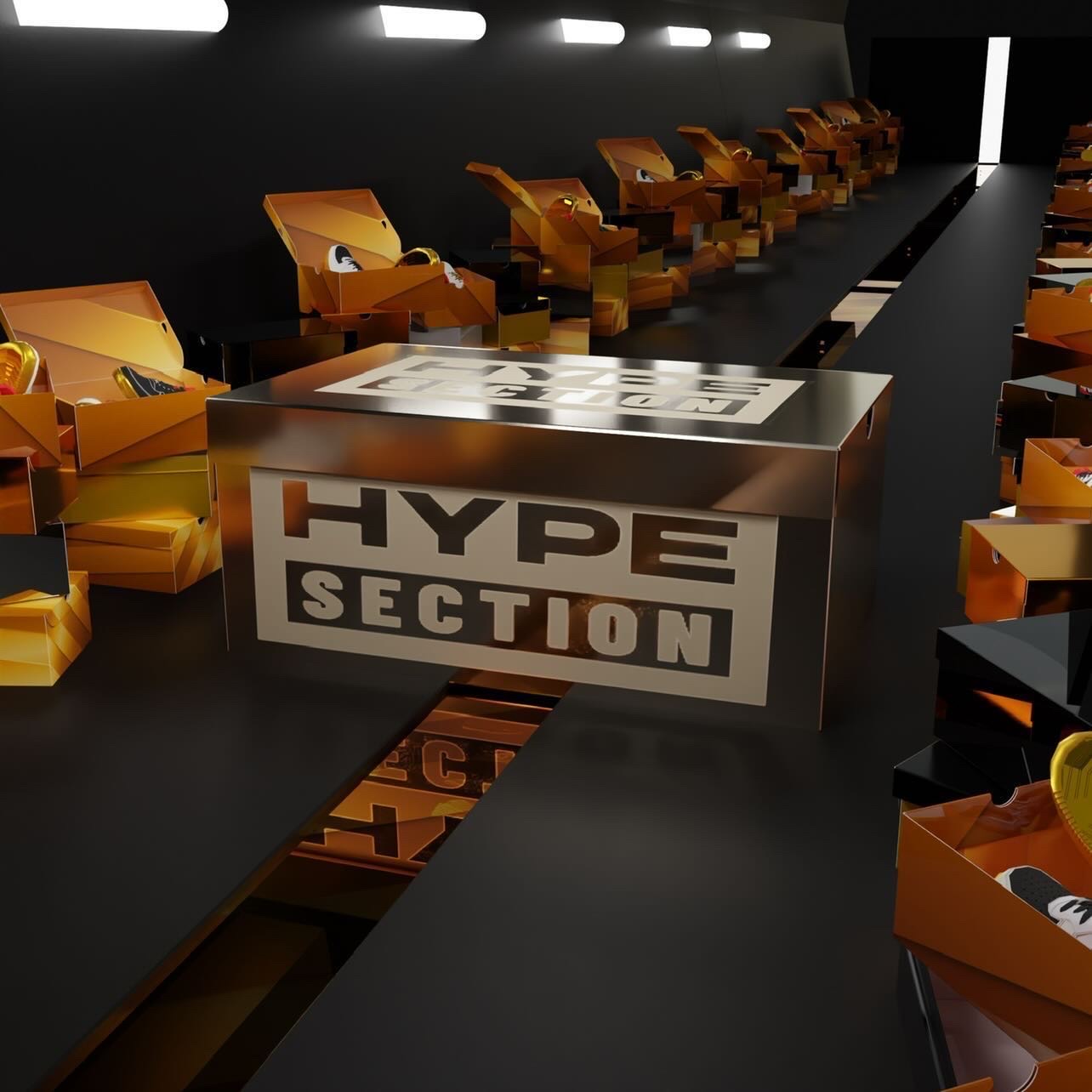 Hype Section: Mystery Sneaker Box - Collection | Element