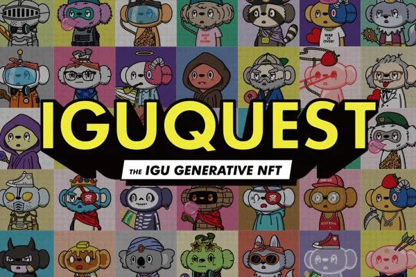 IGUQUEST COLLECTION - Collection | Element