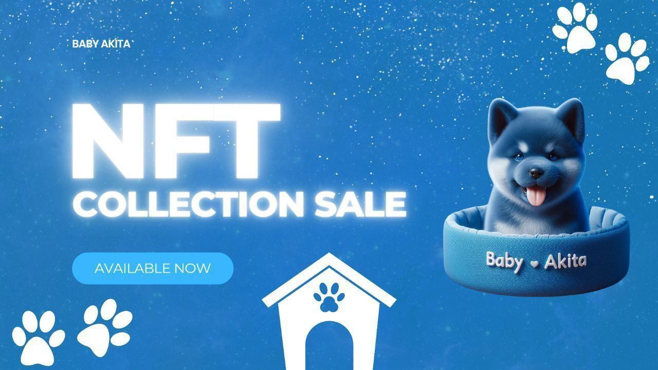BabyAkita NFT - Collection | Element