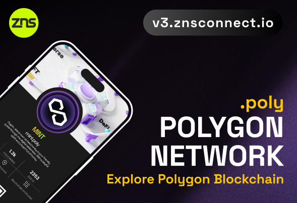 ZNS Connect .polygon - Collection | Element