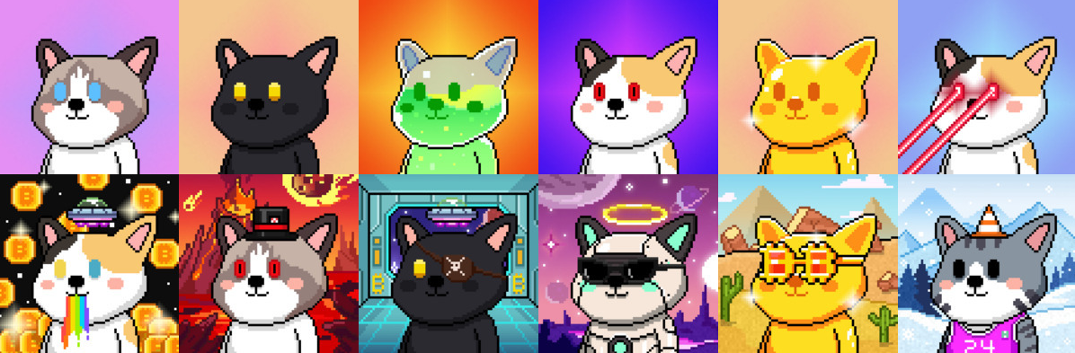 Infinity Cats - Collection | Element